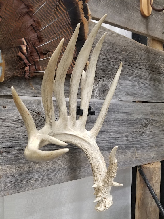 King Antler Antler Mounting Kit