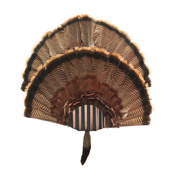 Metal Turkey - Etsy