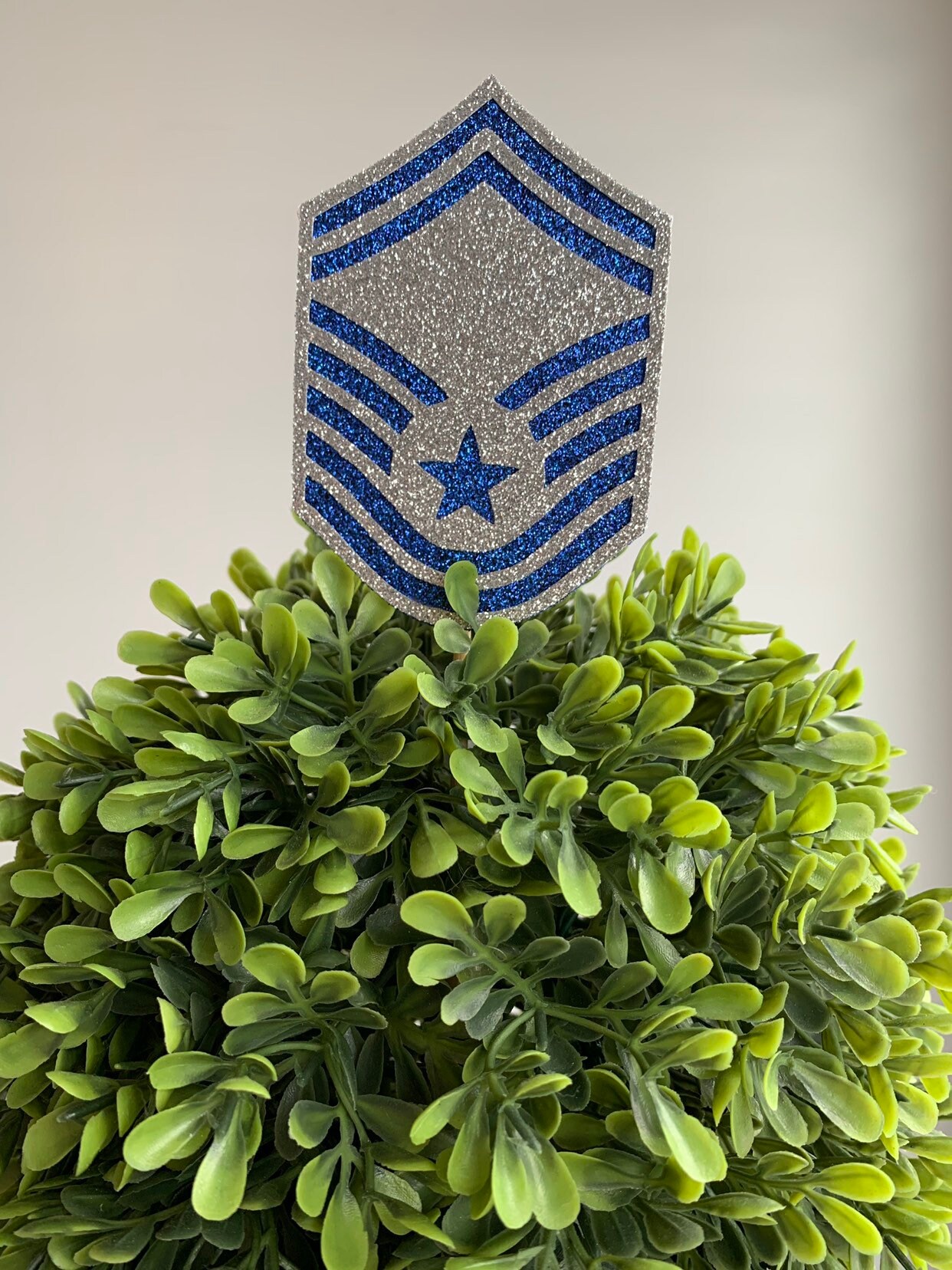 Air Force Enlisted Rank Cake Topper and Centerpiece USAF | Etsy