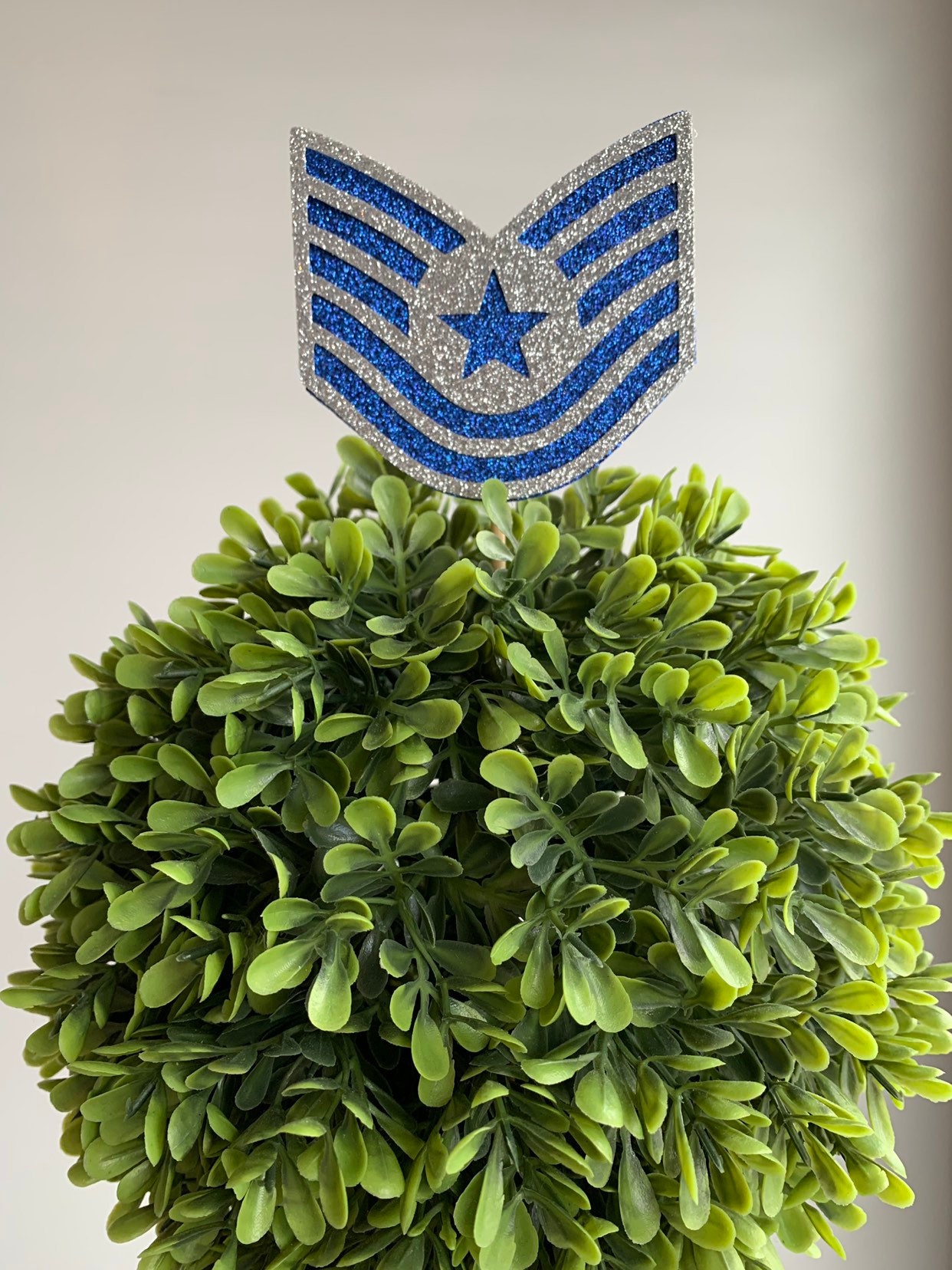 Air Force Enlisted Rank Cake Topper and Centerpiece USAF | Etsy