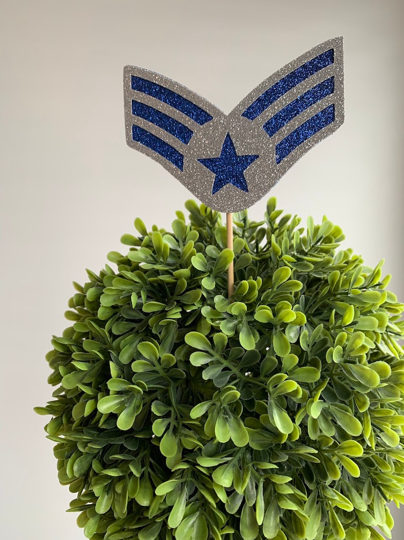 Air Force Enlisted Rank Cake Topper and Centerpiece USAF - Etsy