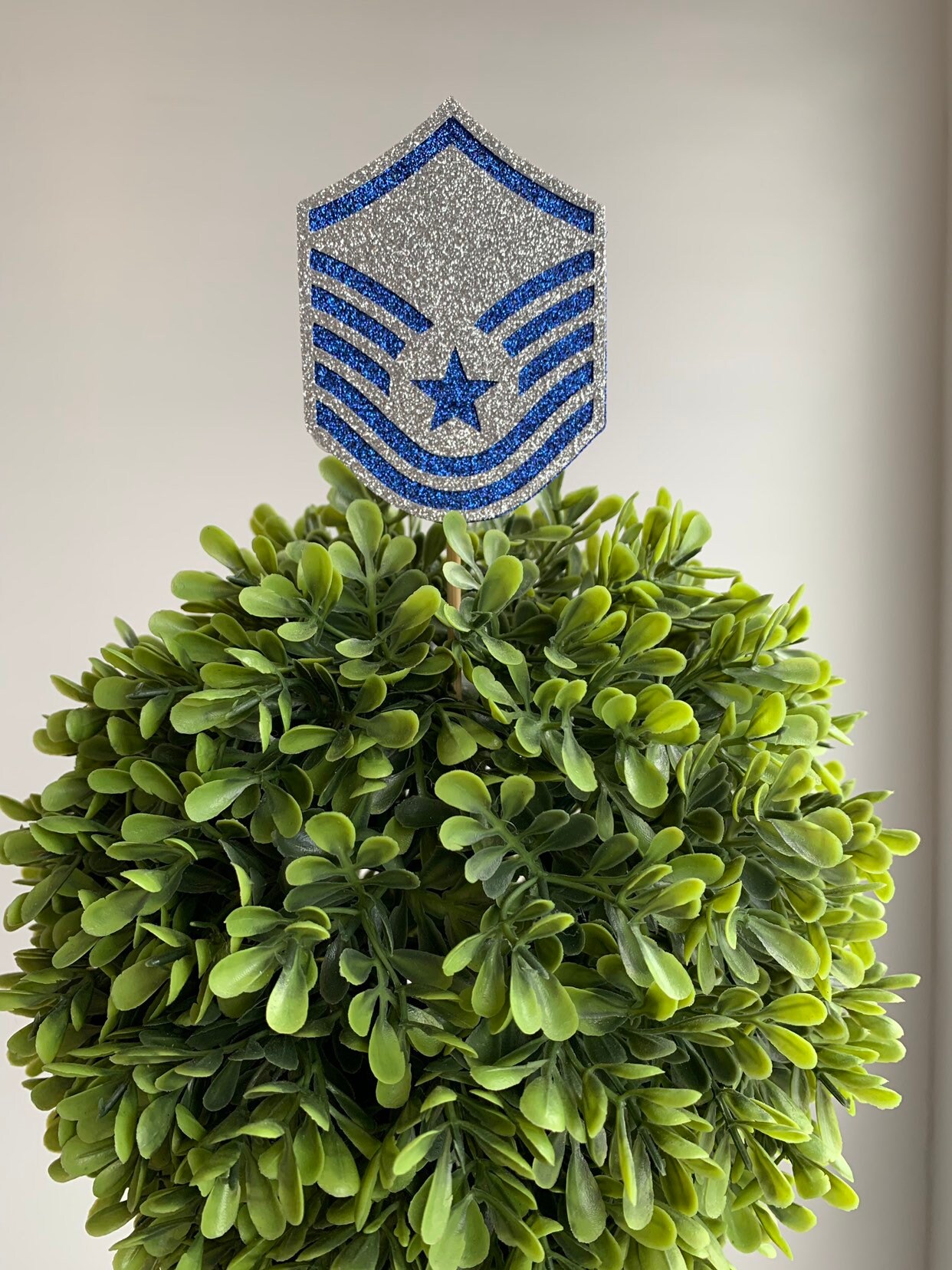 Air Force Enlisted Rank Cake Topper and Centerpiece USAF | Etsy