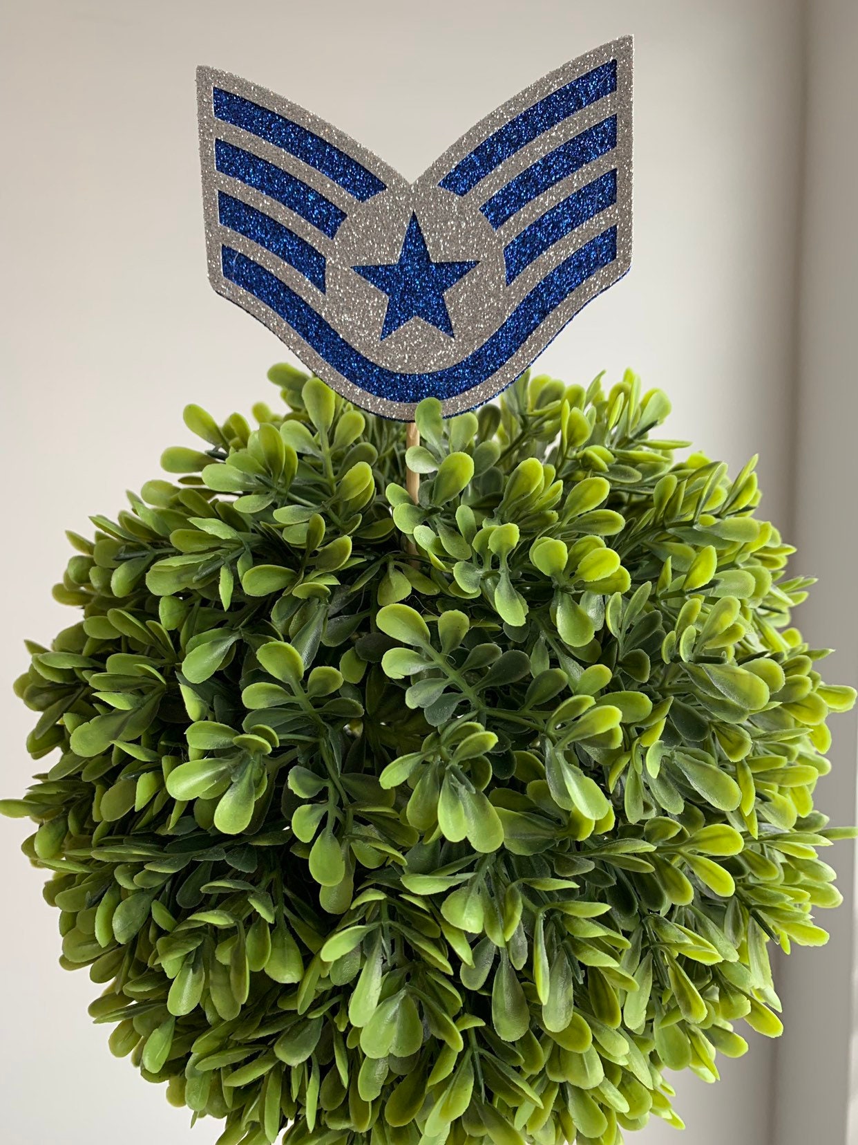 Air Force Enlisted Rank Cake Topper and Centerpiece USAF | Etsy