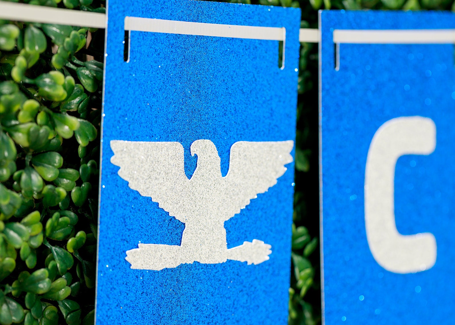 Air Force Enlisted and Officer Rank Banners. All Air Force | Etsy