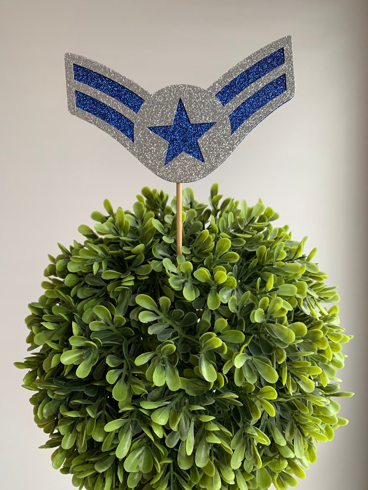 Air Force Enlisted Rank Cake Topper and Centerpiece USAF | Etsy