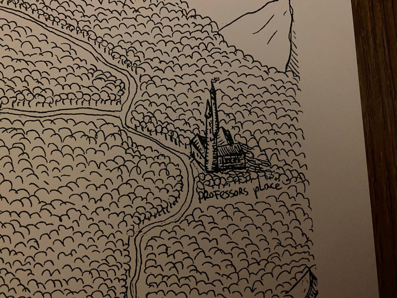 Map Bastion, Fantasy Map, Fantasy City, Top Down View, Carthography ...