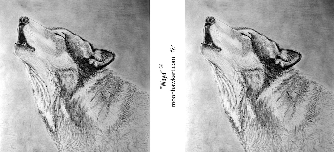 Coffee Mug Waya Wolf Sketch Wolf Howling Image Sublimated - Etsy