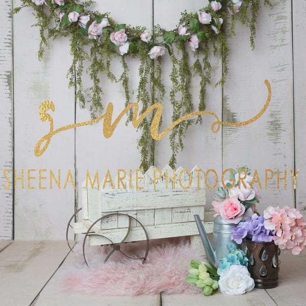 French Backdrop - Etsy