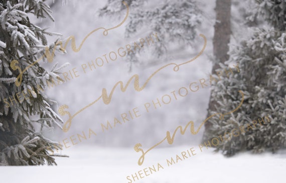 WINTER WONDERLAND Digital Backdrop | Etsy