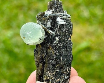 Botryoidal Green Prehnite on Epidote From Malie , Natural Mineral ...
