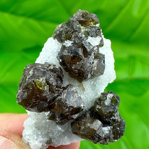 Beautiful Gem Sphalerite Var. Cleiophane on Quartz From 9th September ...