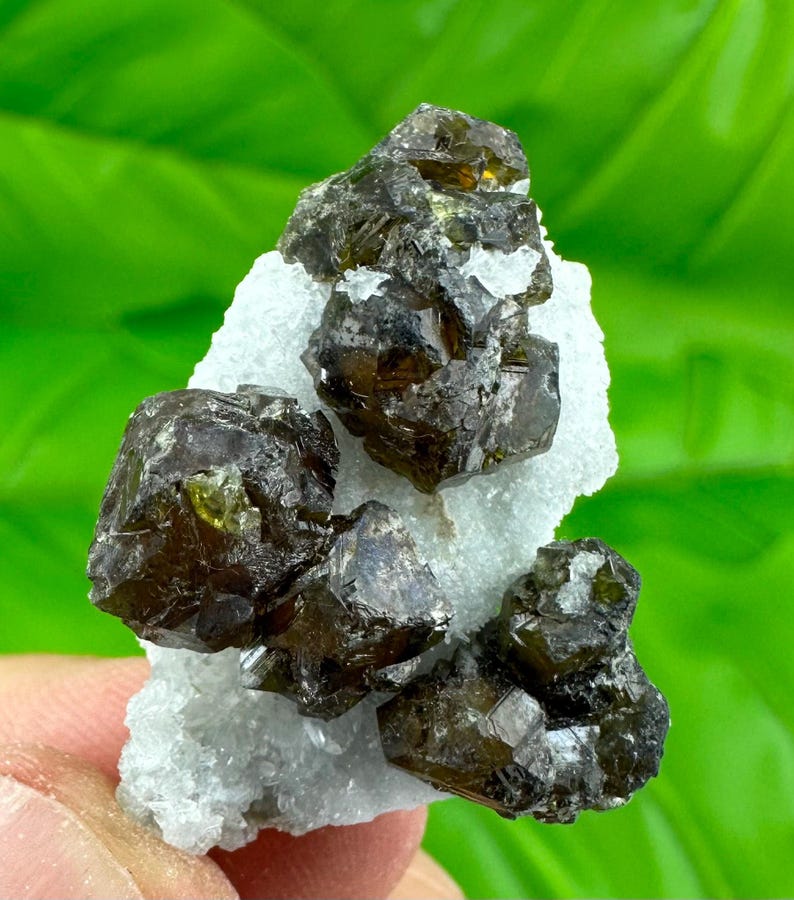 Beautiful Gem Sphalerite Var. Cleiophane on Quartz From 9th September ...