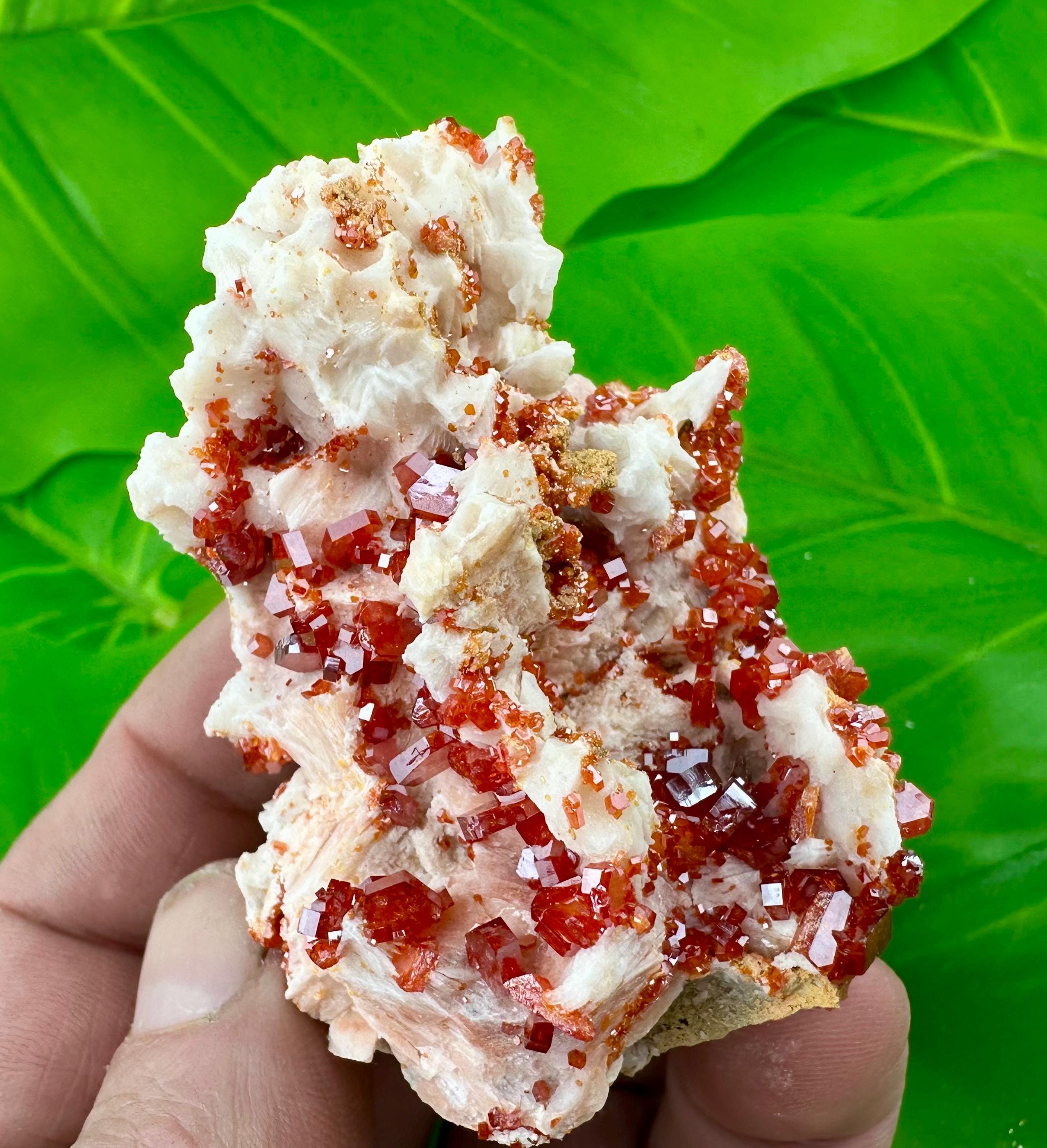 Amazing Red Vanadinite on Baryte , Red , White , Shiny , Crystal ...