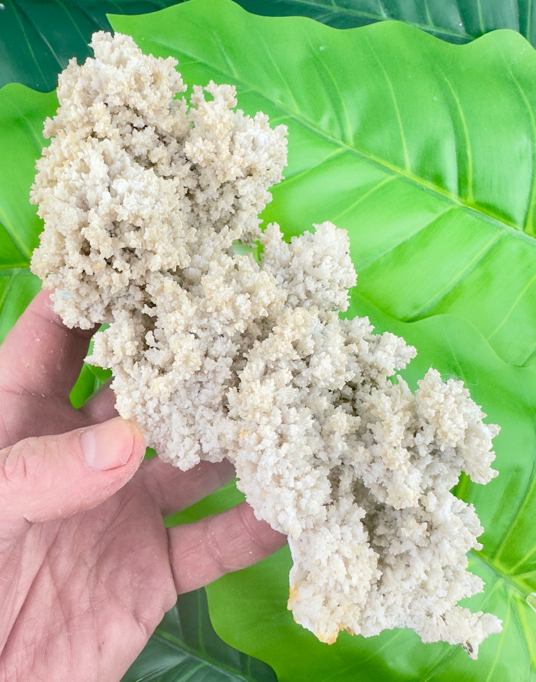 Rare Calcite From 9th September Mine, Madan, Bulgaria, Calcite Flower ...