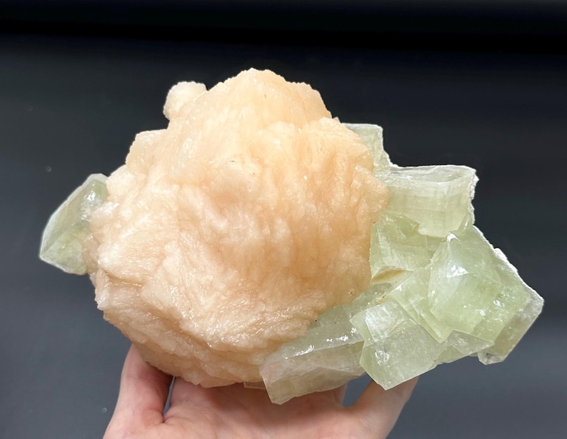 UNIQUE Flower Pink Stilbite With Gemmi Green Apophyllite From Rahuri ...
