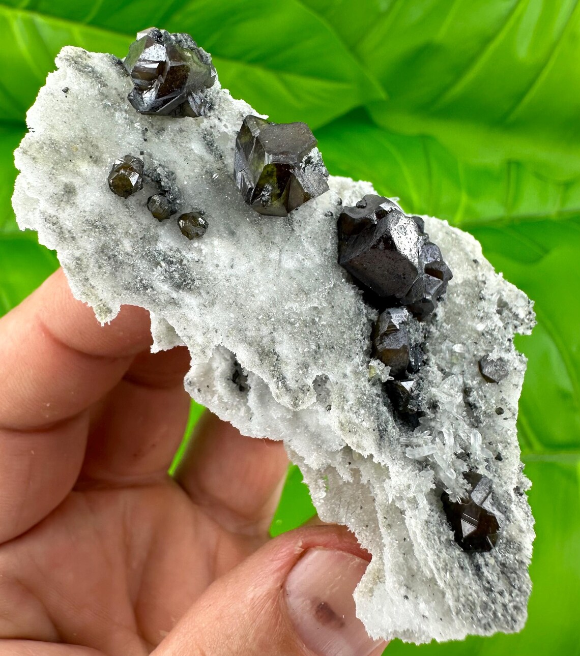 Beautiful Gem Sphalerite Var. Cleiophane on Quartz From 9th September ...