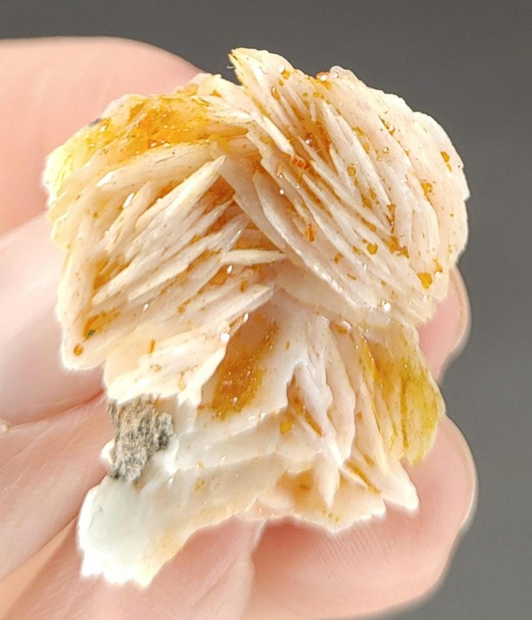 Vanadinite on Baryte Rose, Top Quality Barite, Desert Rose, White ...