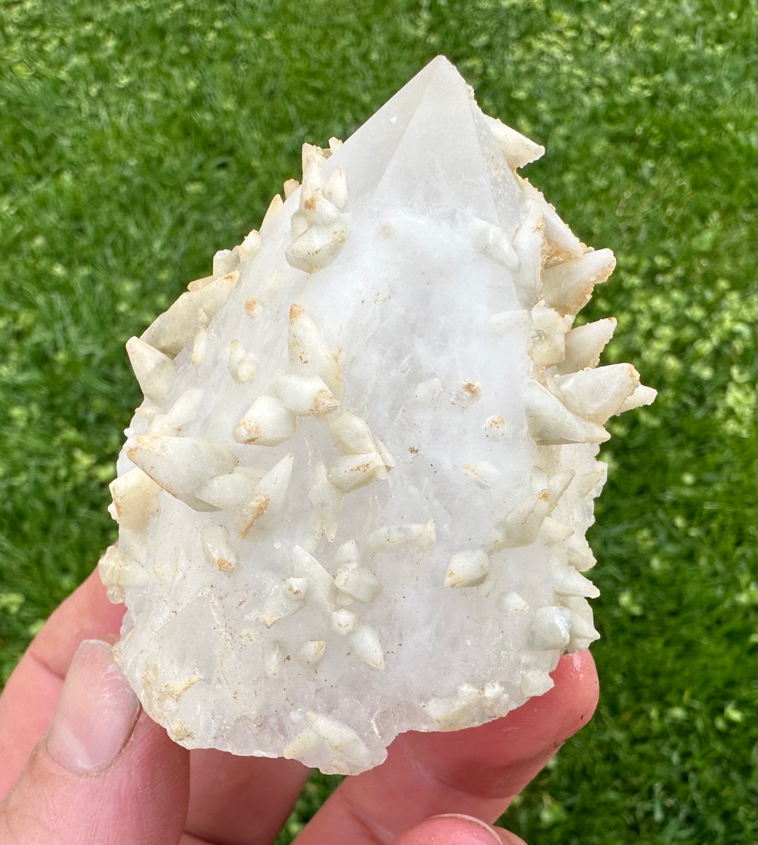 Fluorescent Calcite on Milky Quartz From Djurkovo Mine, Laki, Bulgaria ...