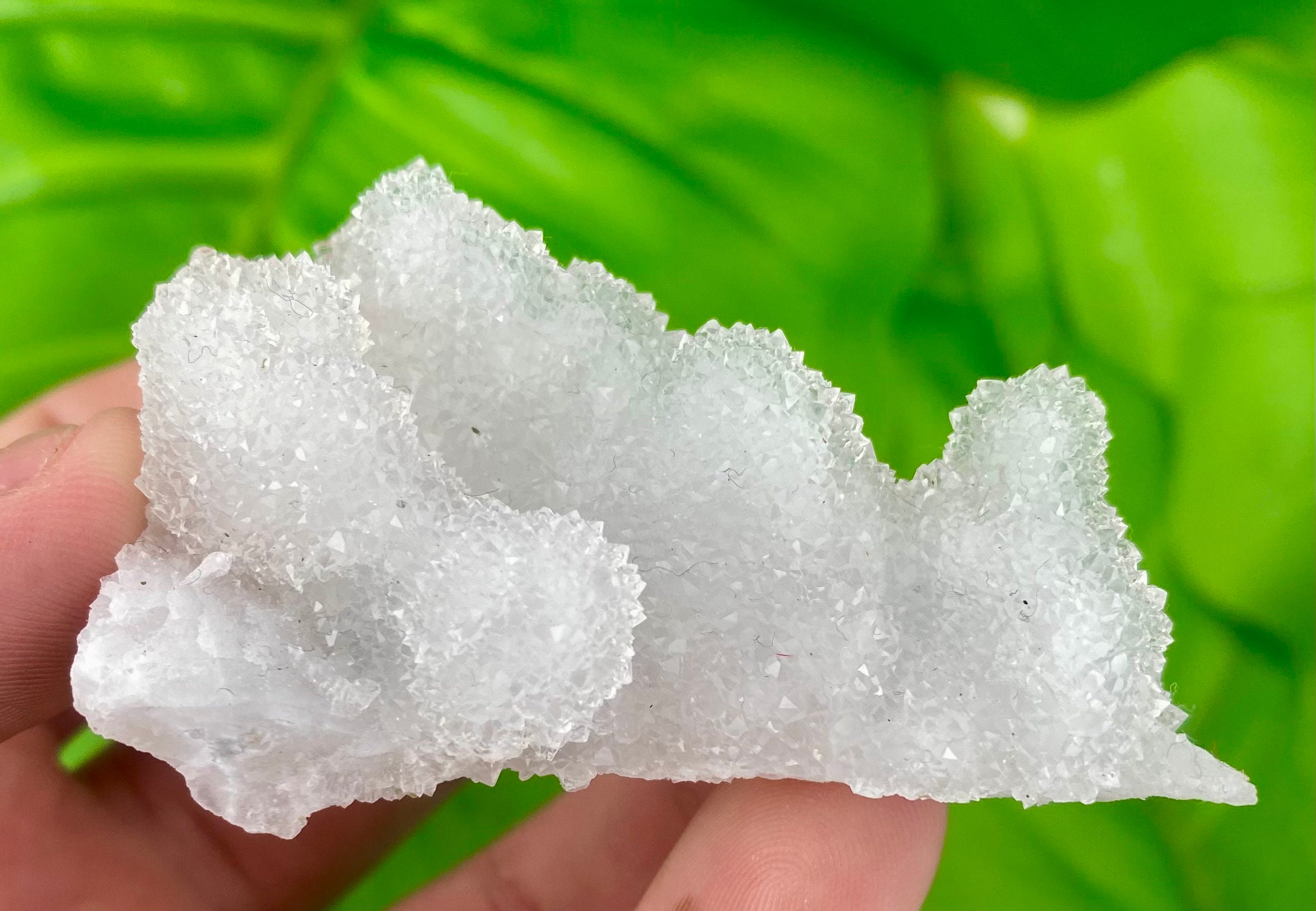 Sugar Quartz, Cactus Quartz From Krushev Dol Mine, Madan, Bulgaria ...