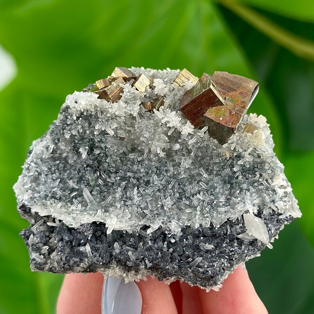 Pyrite Covered With Hematite on Needle Quartz and Sphalerite - Drujba ...
