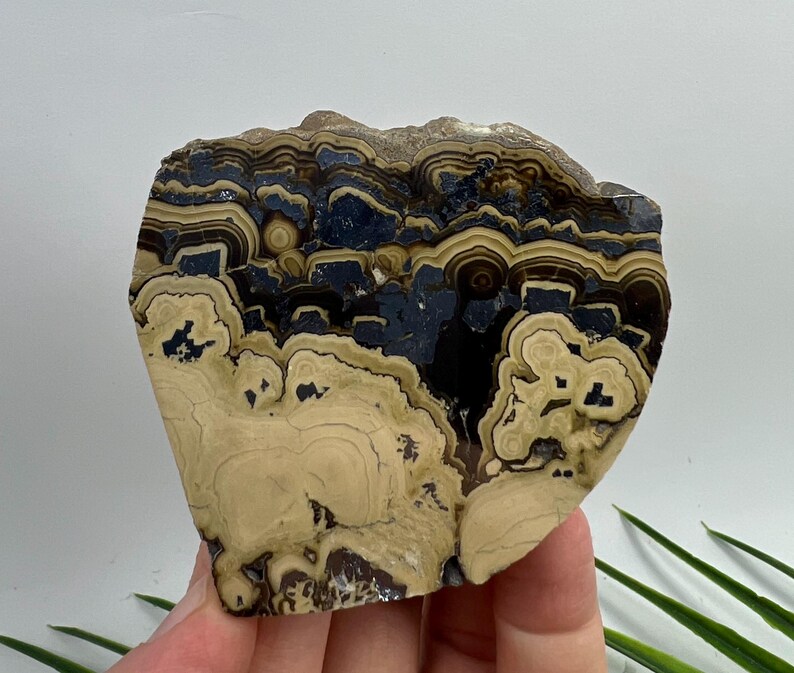 Rare Schalenblende, Galena, Sphalerite, Wurtzite, Polished Slice, Art ...