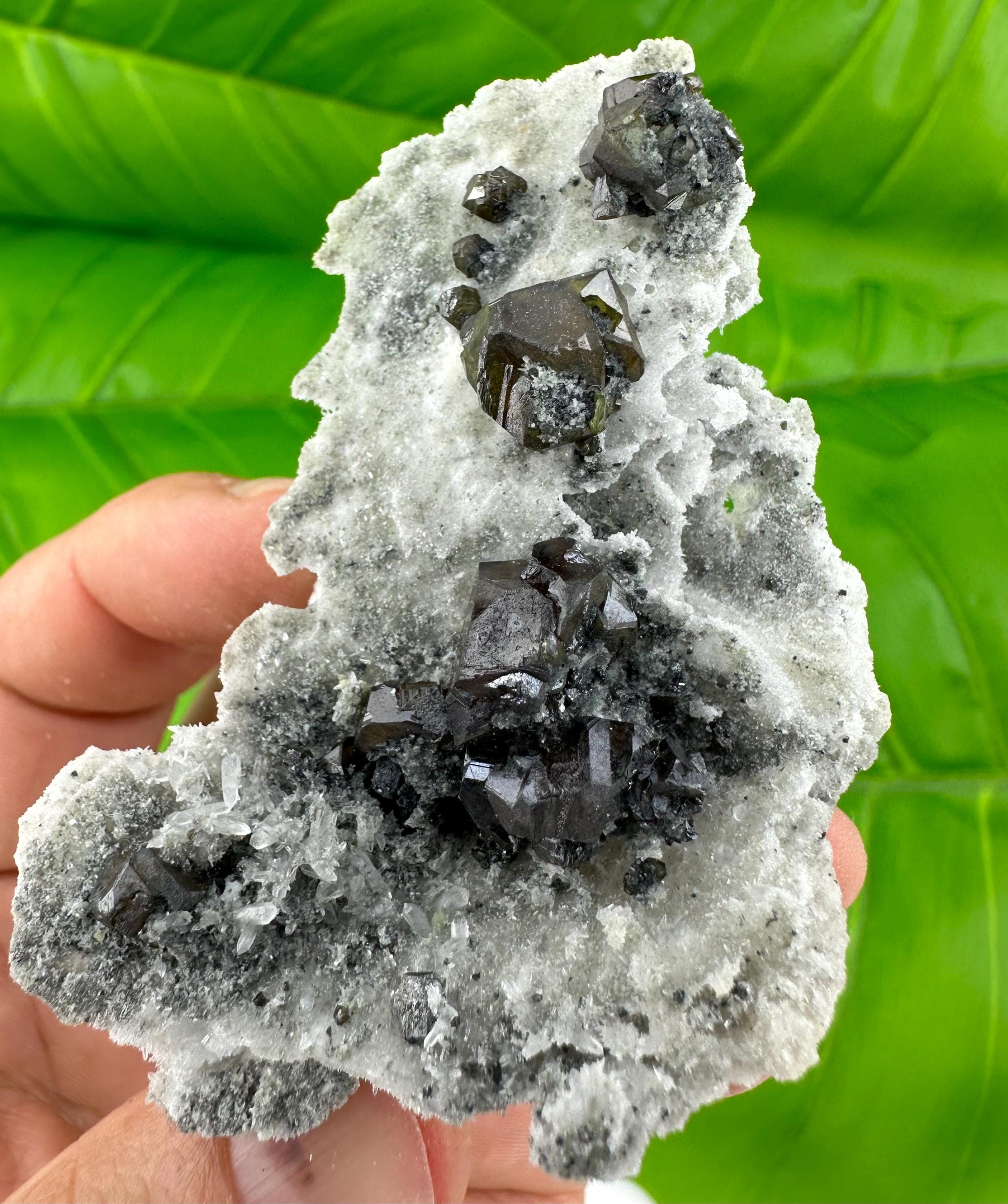 Beautiful Gem Sphalerite Var. Cleiophane on Quartz From 9th September ...