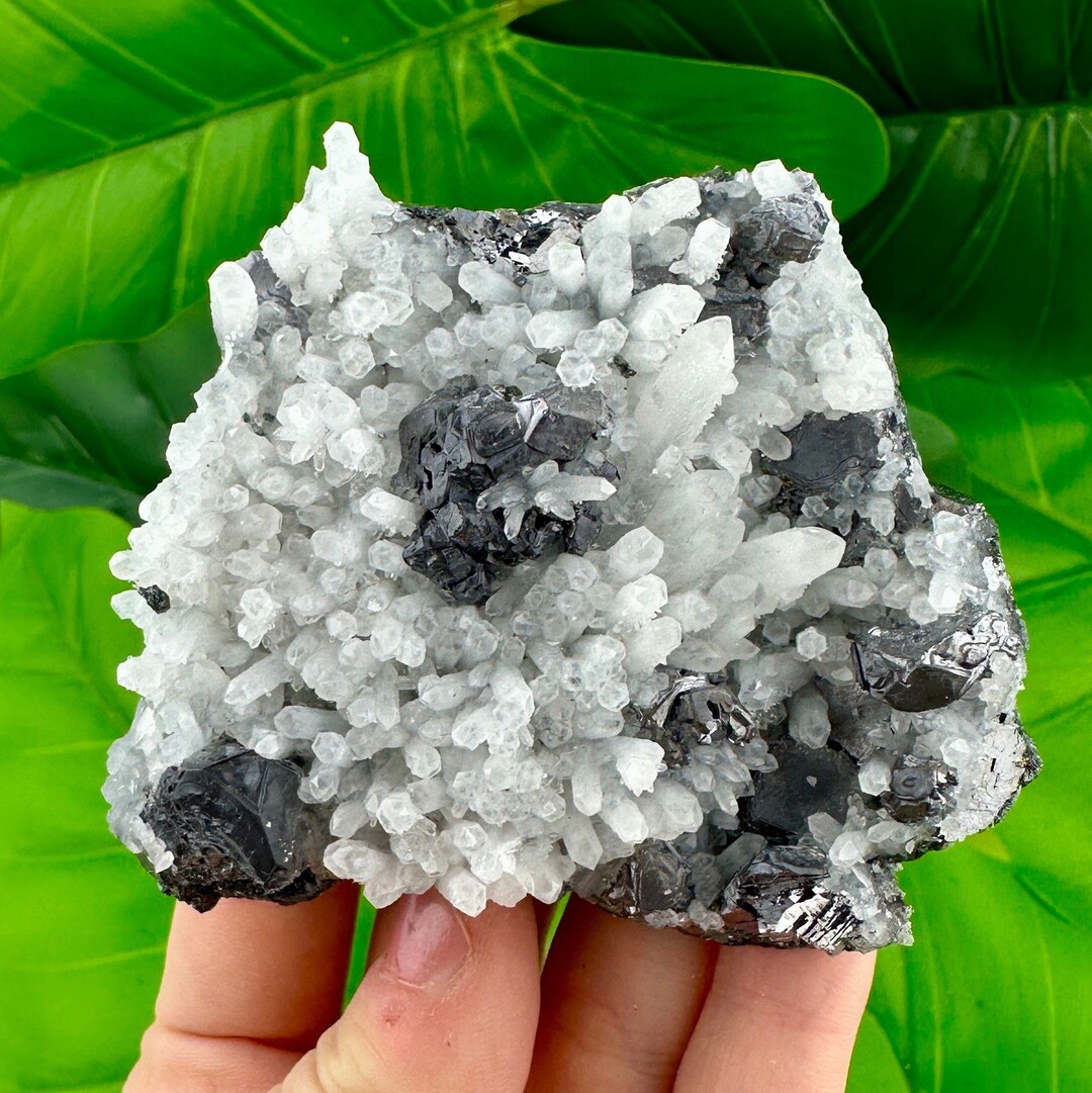 Galena on Quartz From Krushev Dol Mine, Madan, Bulgaria, Natural ...