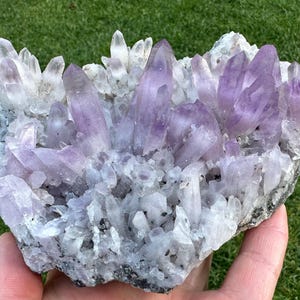 Amazing Quartz Var. Amethyst Phantom From Chala Mine, Haskovo, Bulgaria ...