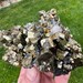 Pyrite Covered With Red Hematite, Galena, Quartz, Chlorite From ...