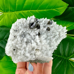 Gem Sphalerite Var. Green Cleiophane on Milky Quartz Krushev Dol Mine ...