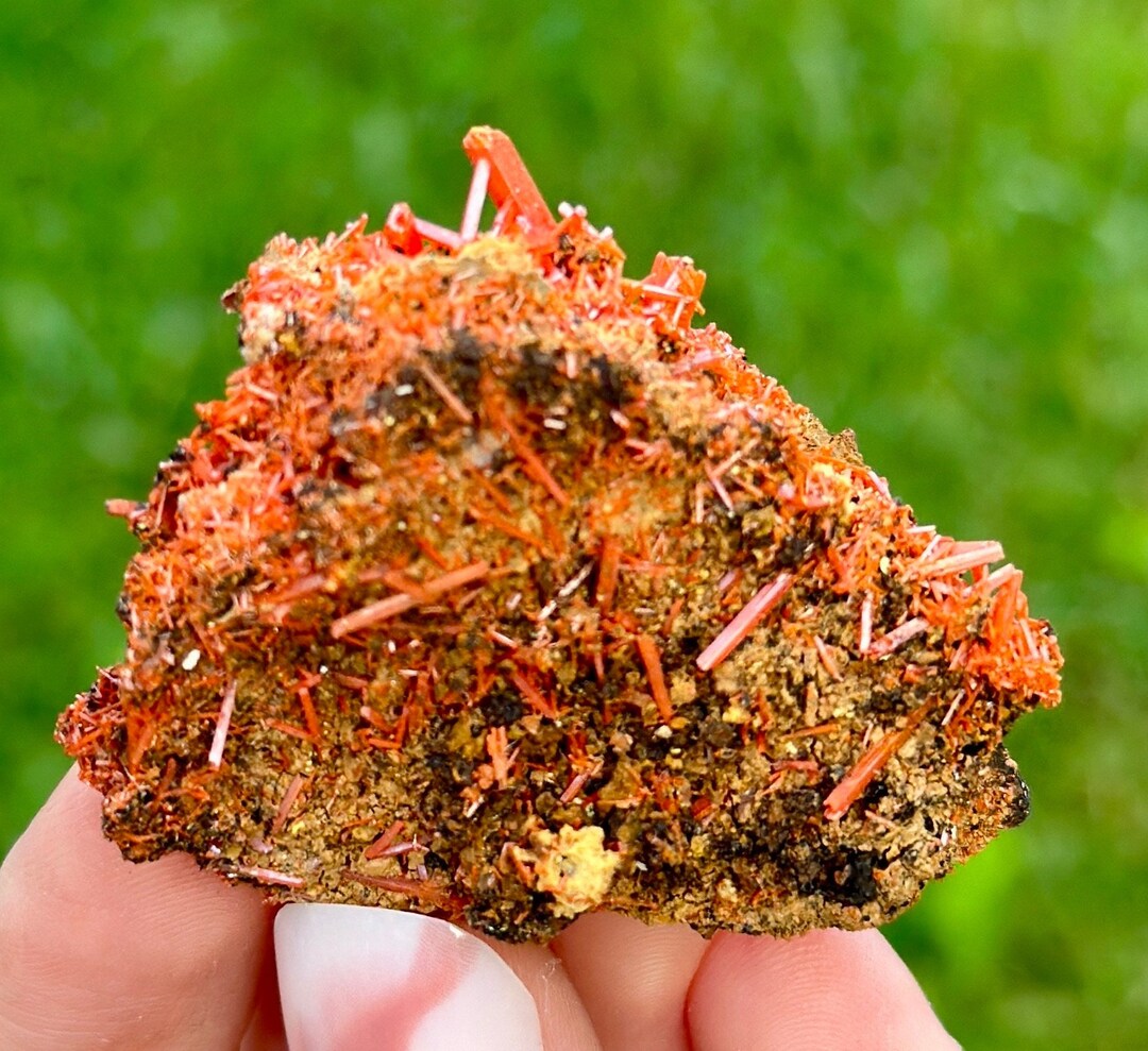 Amazing Crocoite From the Adelaide Mine ,tasmania , Australia , Red ...