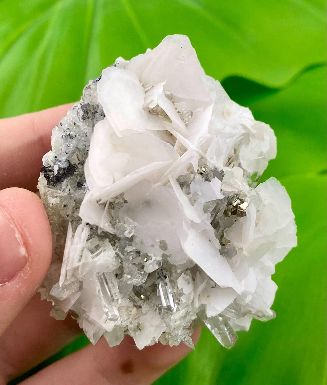 Calcite Flower With Pyrite on Clearly Quartz From Borieva Mine, Madan ...