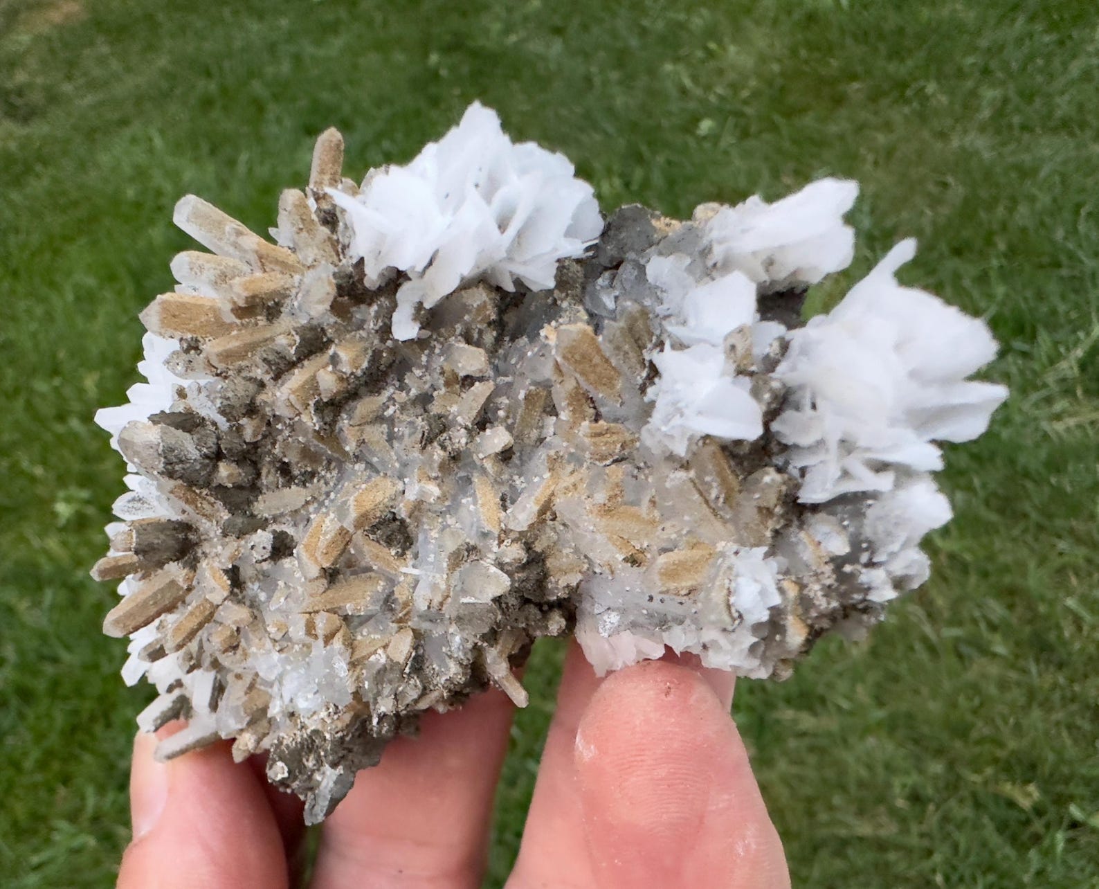 Calcite Flower White Rose on Quartz With Dolomite From Drujba Mine ...