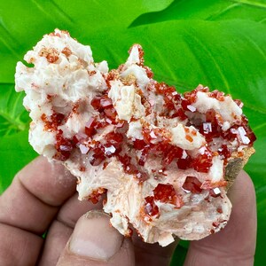 Amazing Red Vanadinite on Baryte , Red , White , Shiny , Crystal ...