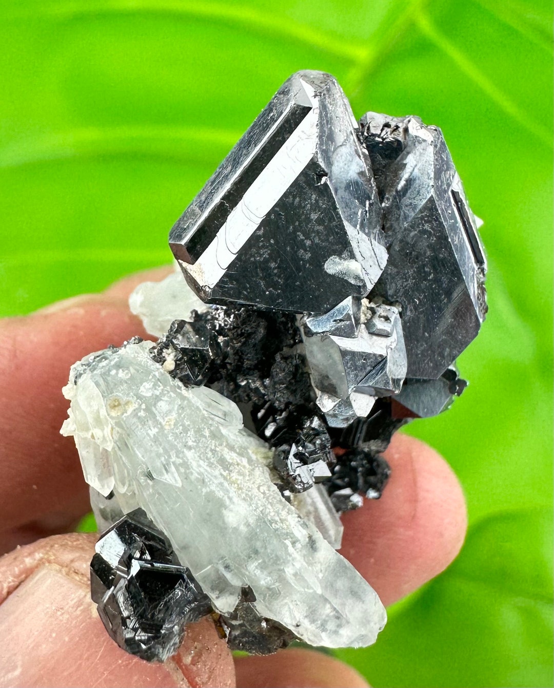 Lustrous Galena Spinel Law Twin With Quartz and Sphalerite Krushev Dol ...