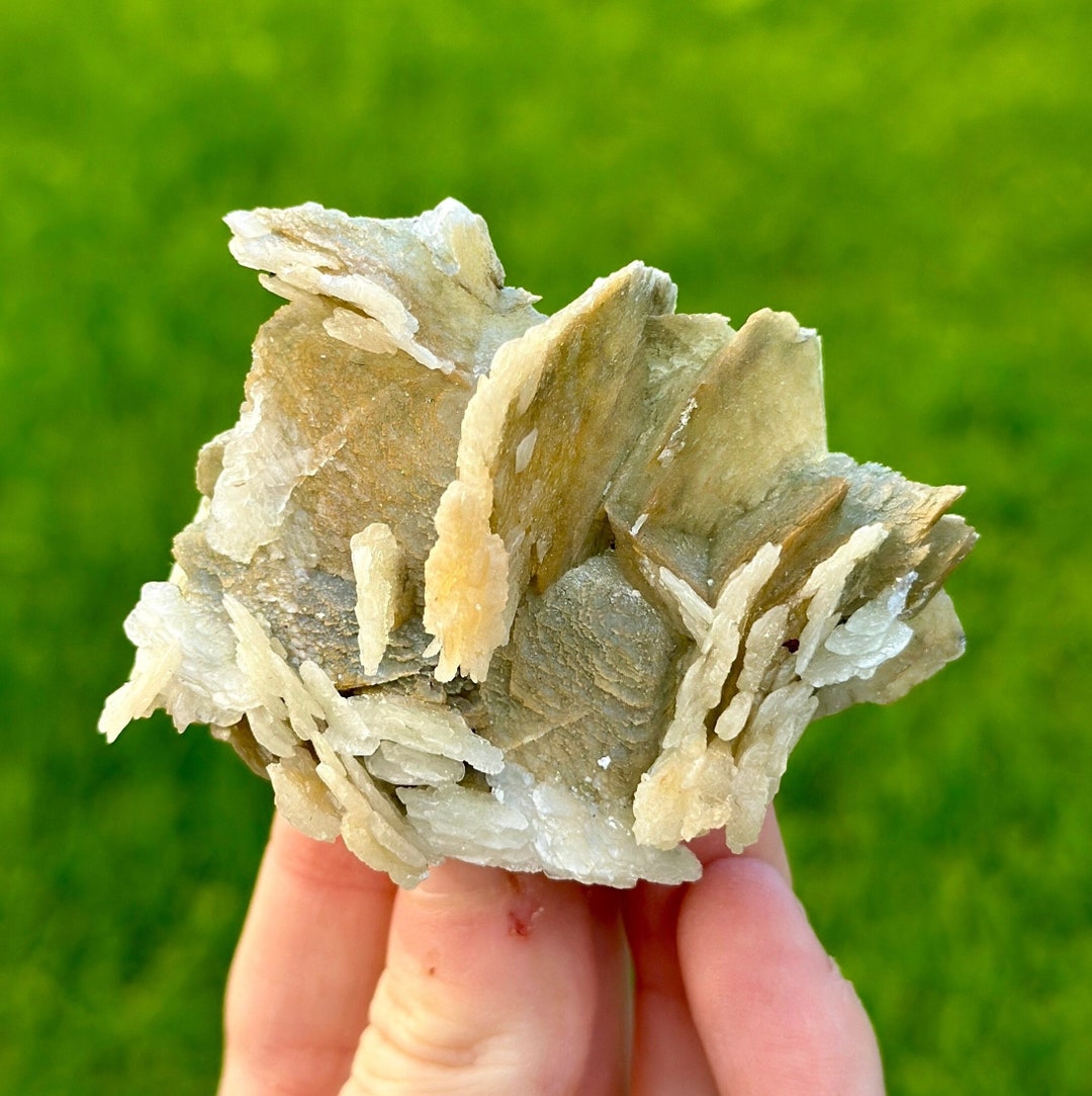 UNIQUE Two Generation Calcite rose Crystal Flower With Chlorite ...
