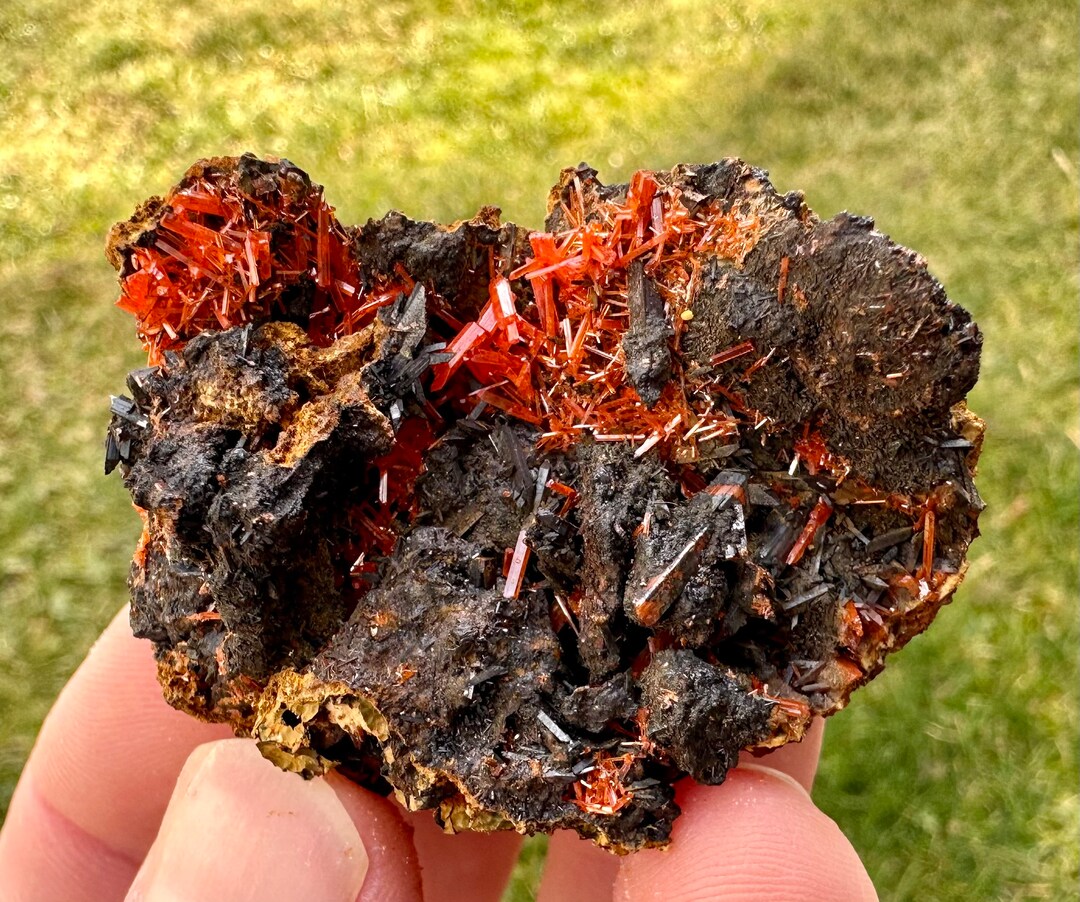 Amazing Crocoite From the Adelaide Mine ,tasmania , Australia , Red ...