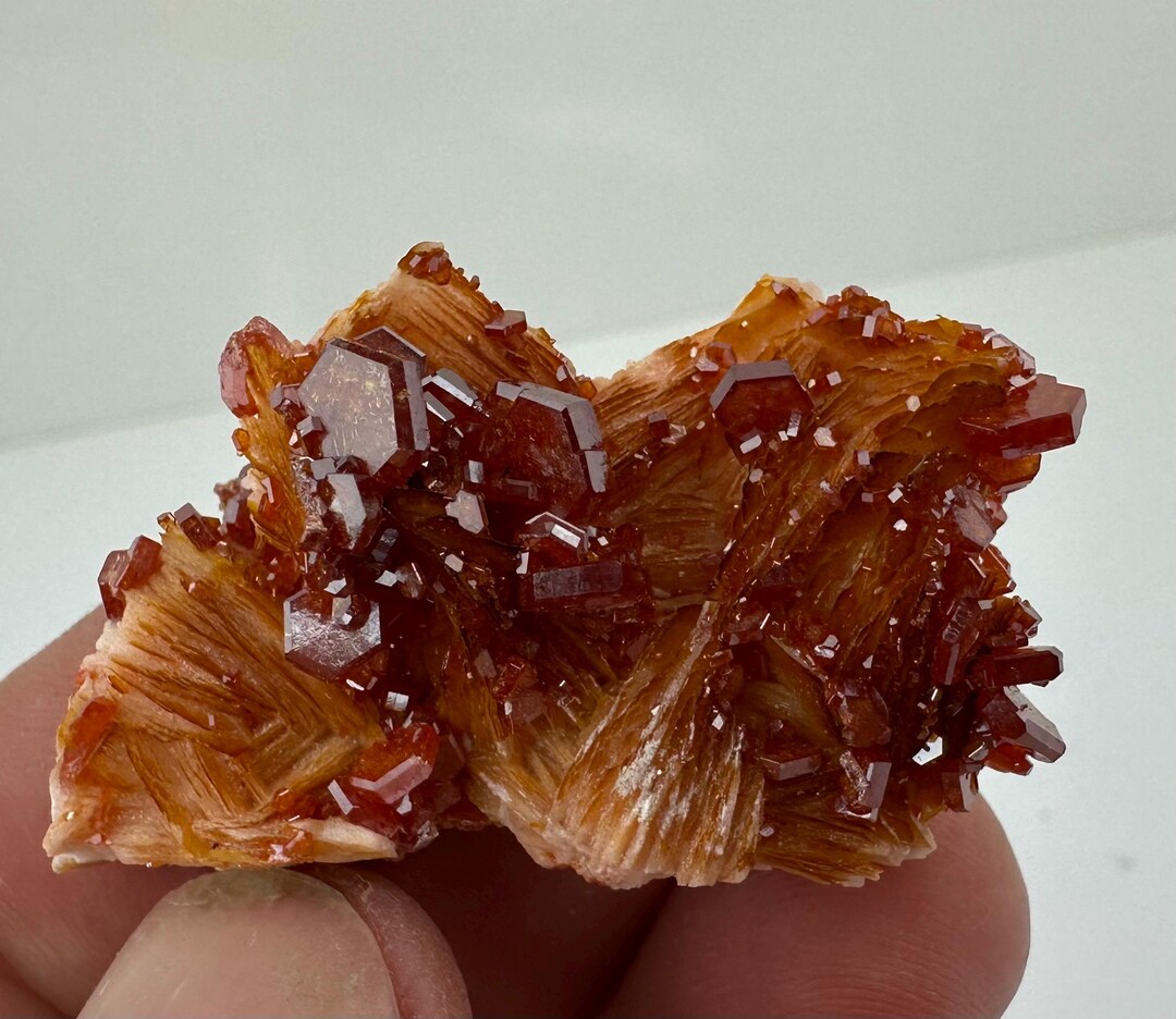 Red Vanadinite on White Baryte Cov With Hematite From Morroco , Shiny ...
