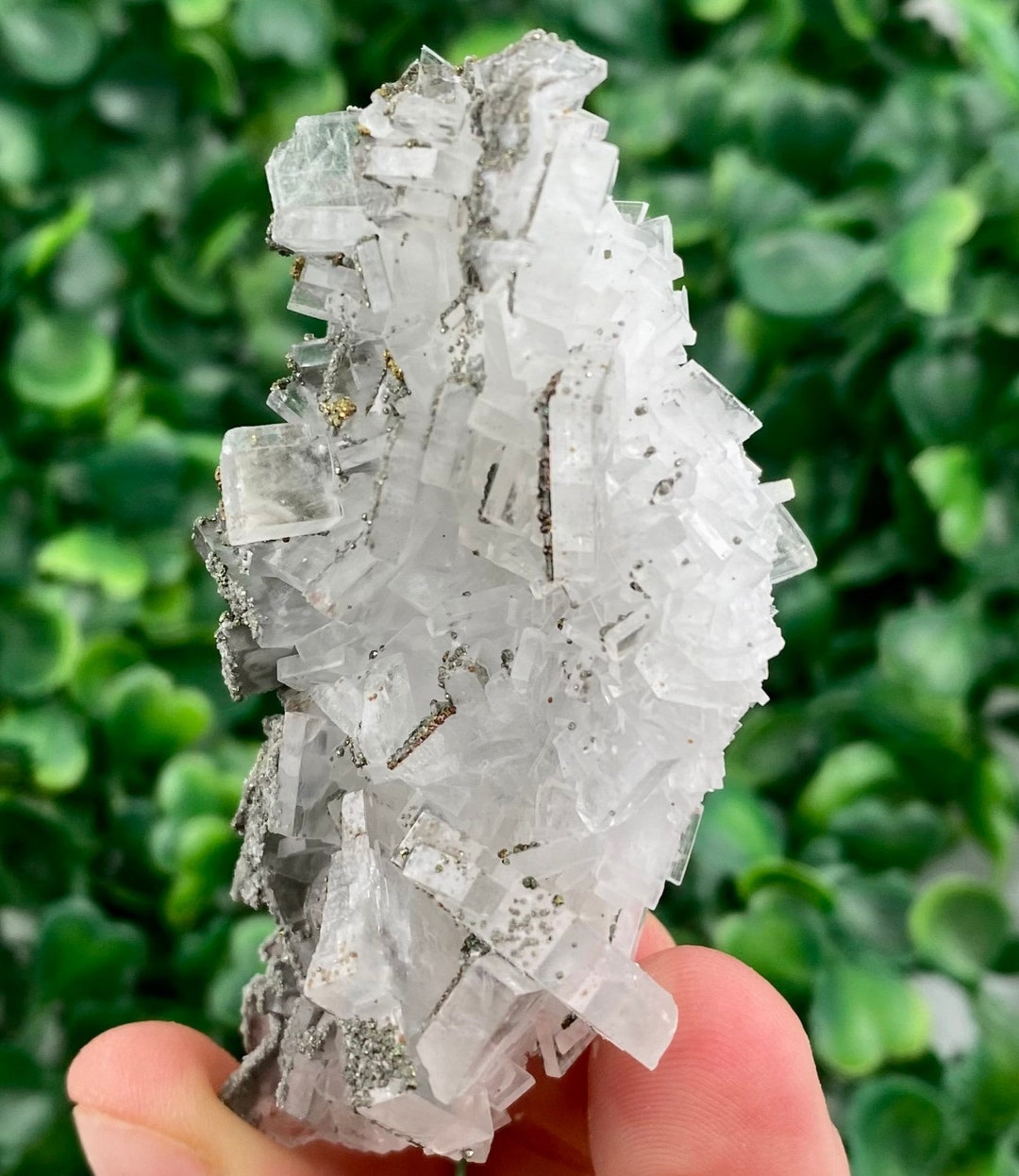 Top Baryte With Iridescent Pyrite From Bulgaria, Androvo Mine Zlatograd ...