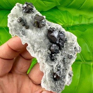 Beautiful Gem Sphalerite Var. Cleiophane on Quartz From 9th September ...