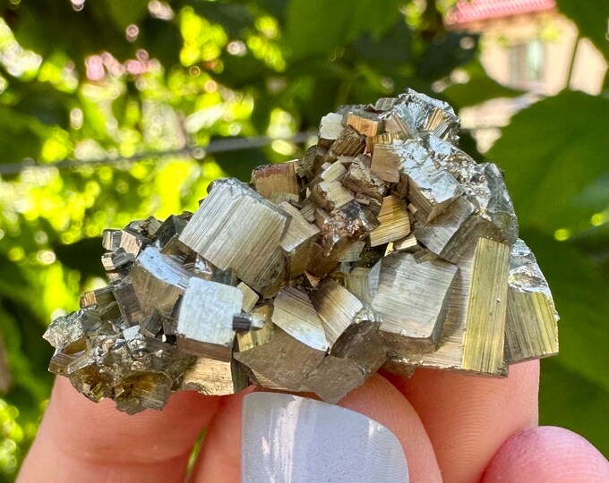 Oxidized Floating Pyrite From Krushev Dol Mine, Madan, Bulgaria, Gold ...