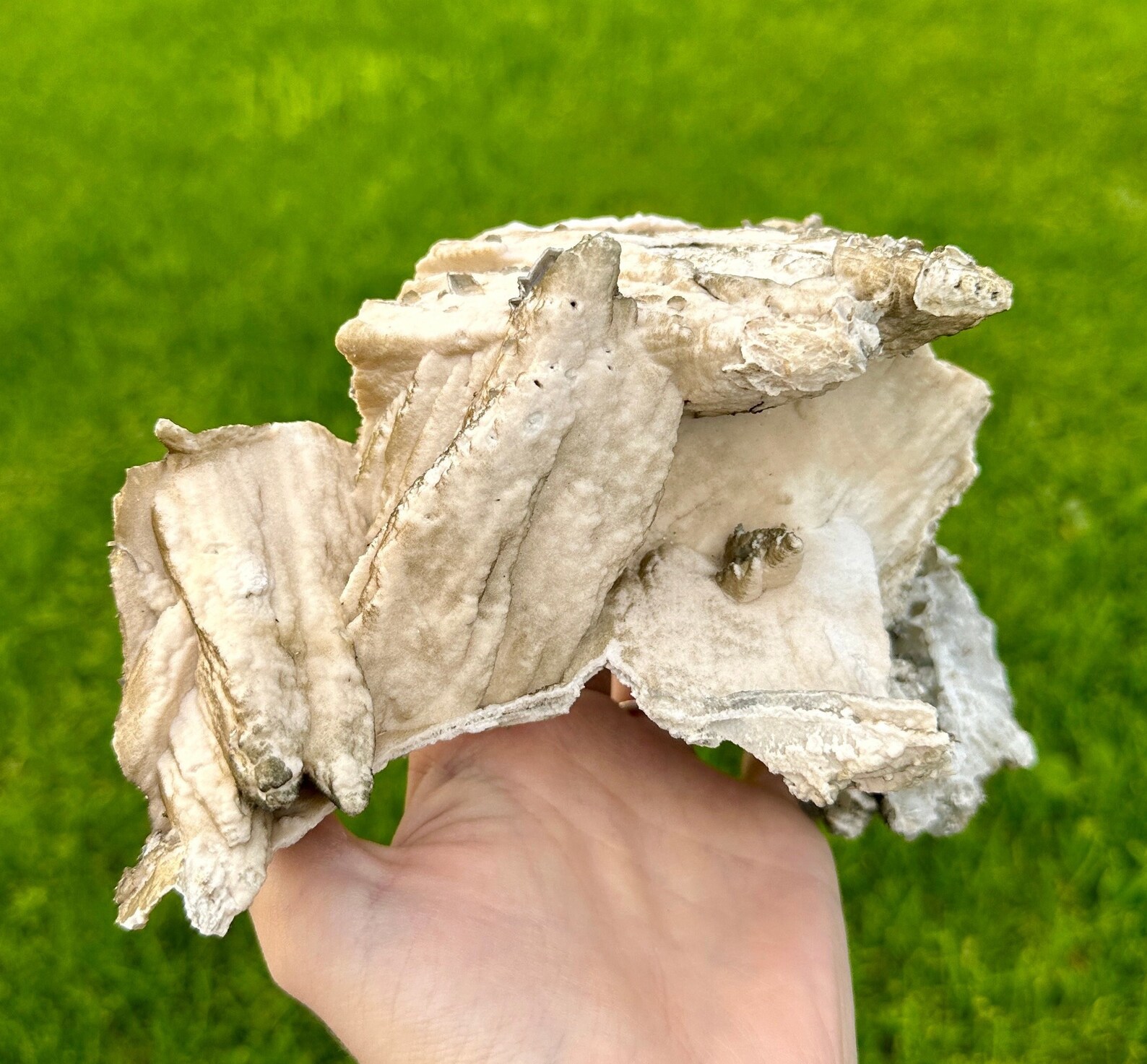 Pseudomorph Calcite After Scalenoedetal Calcite With Mangan Oxide From ...