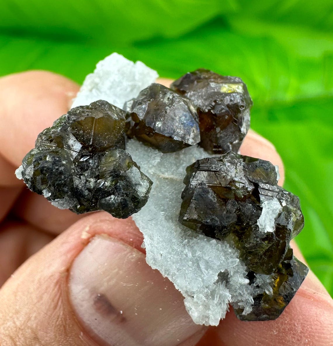 Beautiful Gem Sphalerite Var. Cleiophane on Quartz From 9th September ...