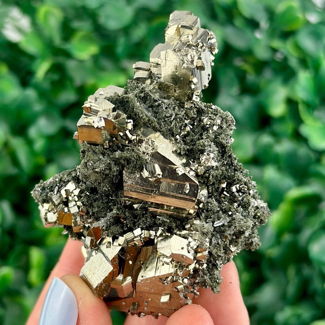 Twisted Pyrite With Green Chlorite From Borieva Mine, Madan Bulgaria ...