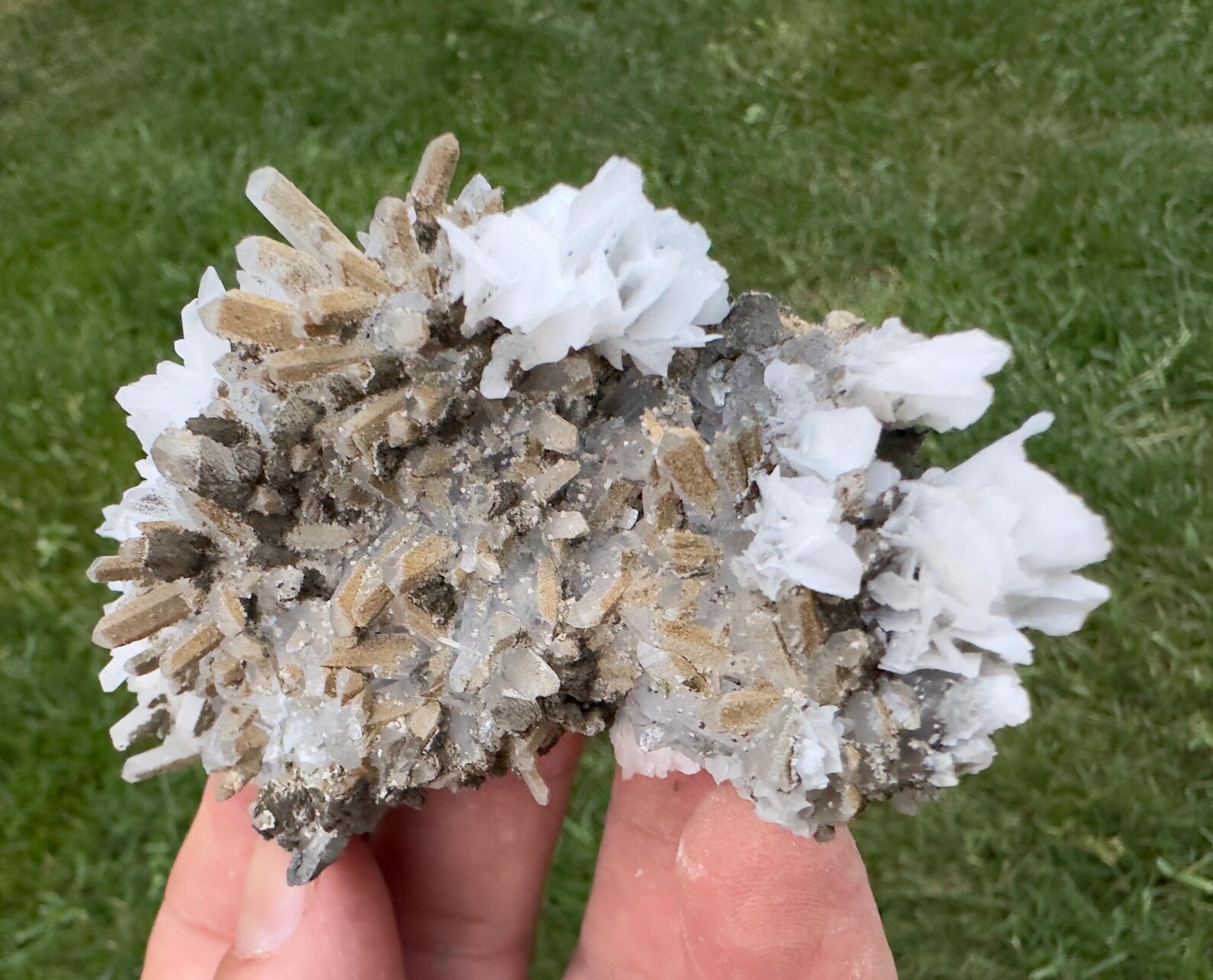 Calcite Flower White Rose on Quartz With Dolomite From Drujba Mine ...