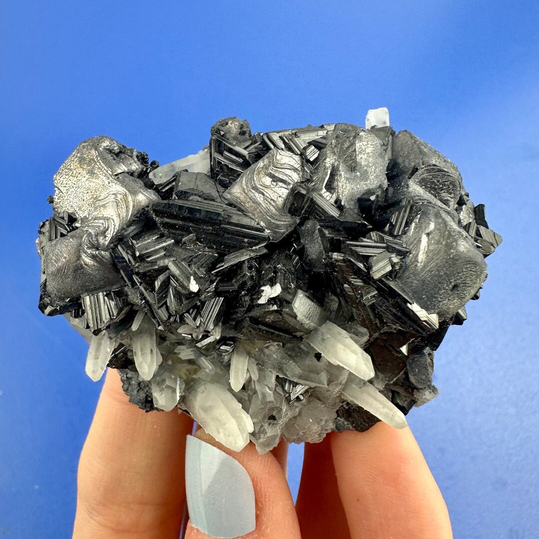 Tetrahedral Sphalerite With Galena and Quartz From Borieva Mine, Madan ...