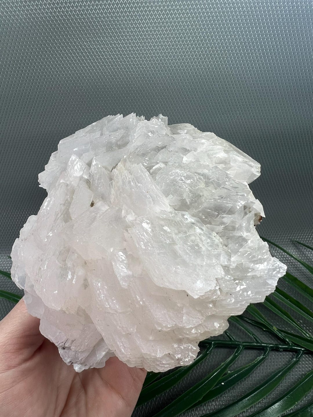 Super Fluorescent Mangano Calcite Rose With Chlorite Inclusions From ...