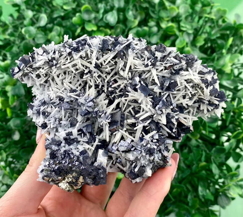 Home Décor Home & Living Lustrous Mineral needles Bulgaria Rare Galena ...