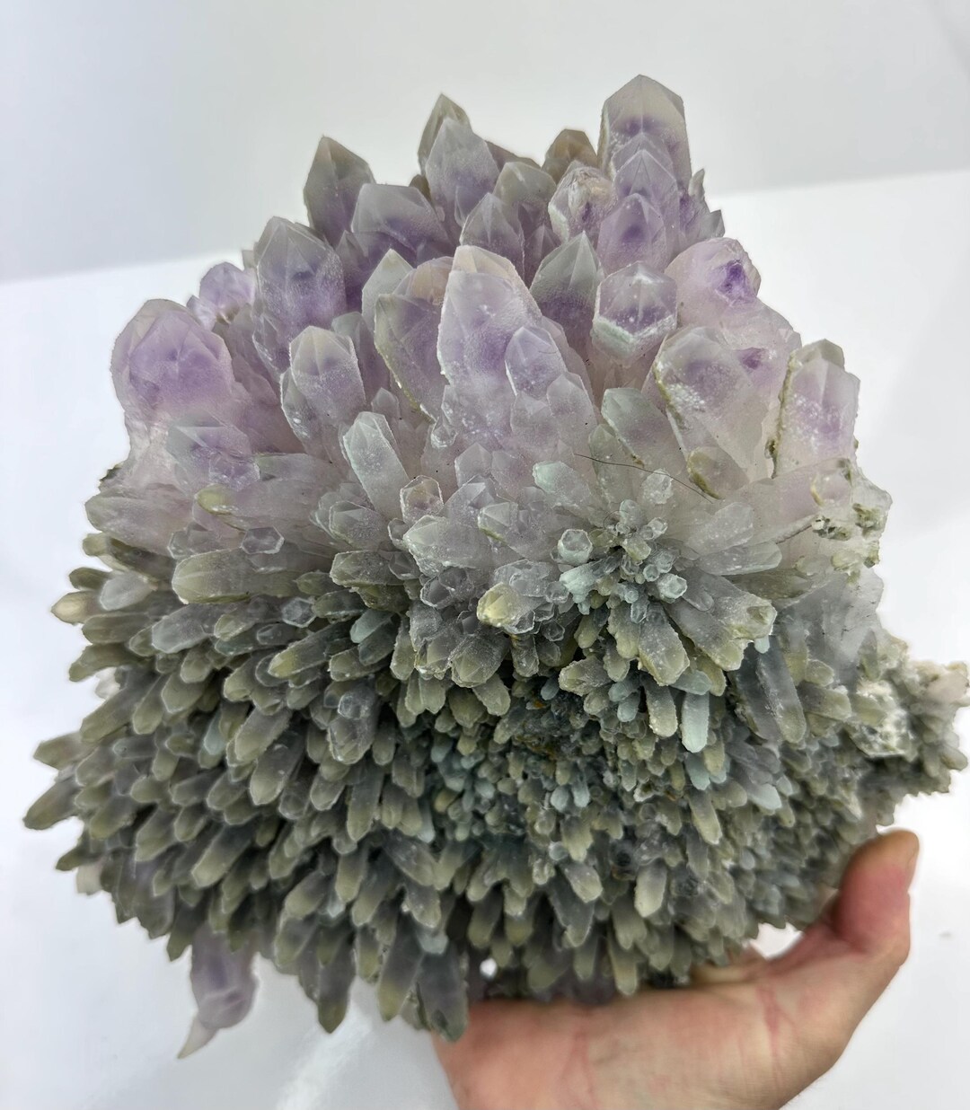 Museum Quartz Var Amethyst Phantom With Chlorite From Djurkovo Mine ...