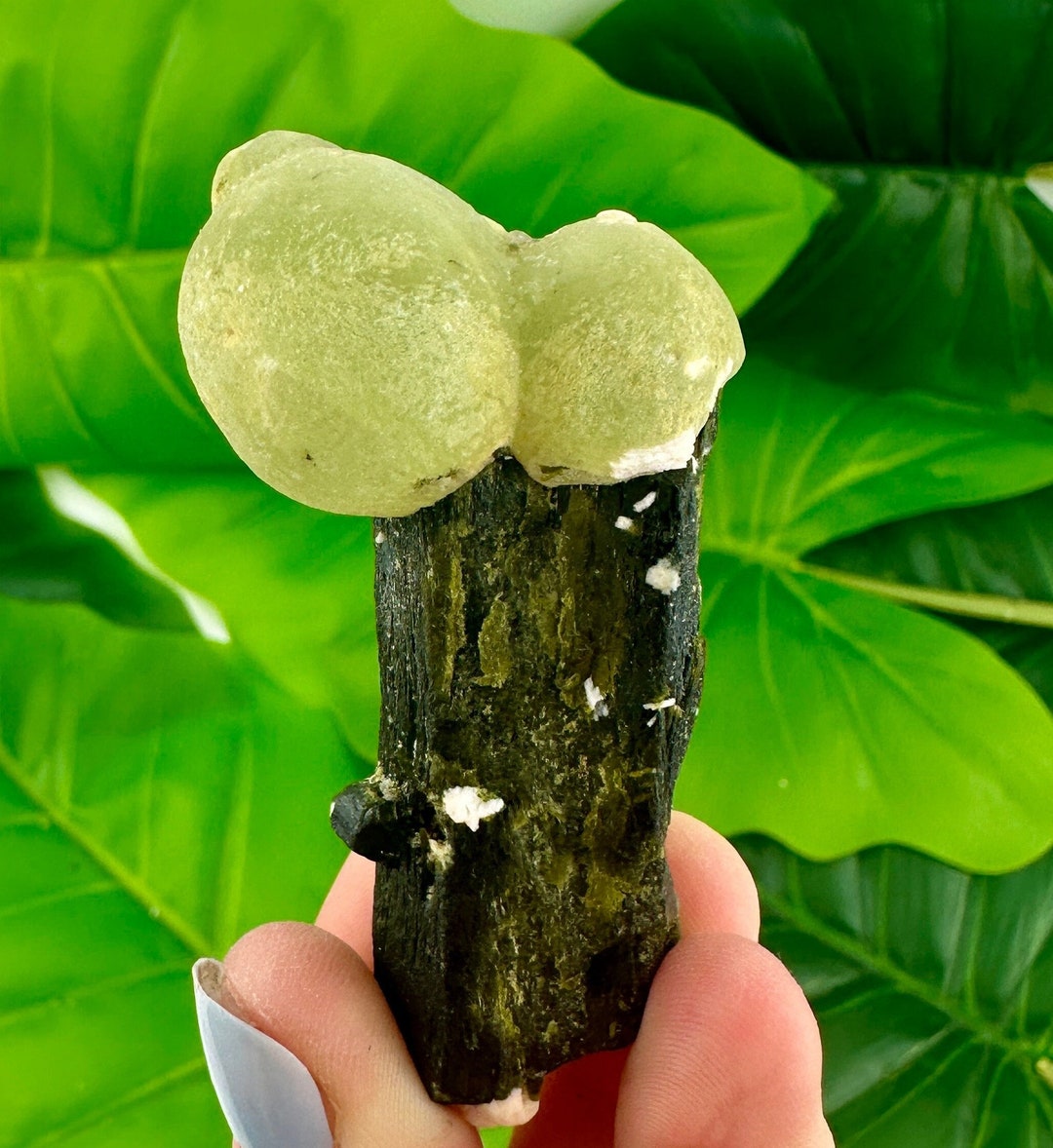 Botryoidal Green Prehnite on Epidote From Malie , Natural Mineral ...